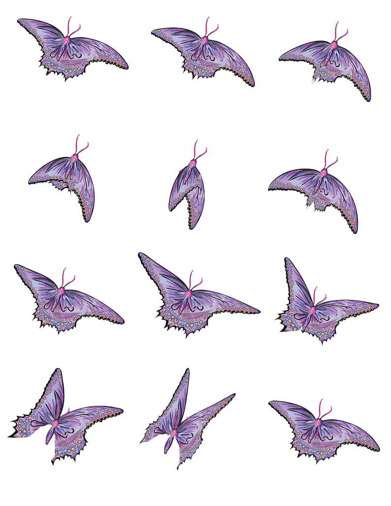 Graphic Butterfly Design Poses for Animation - Etsy