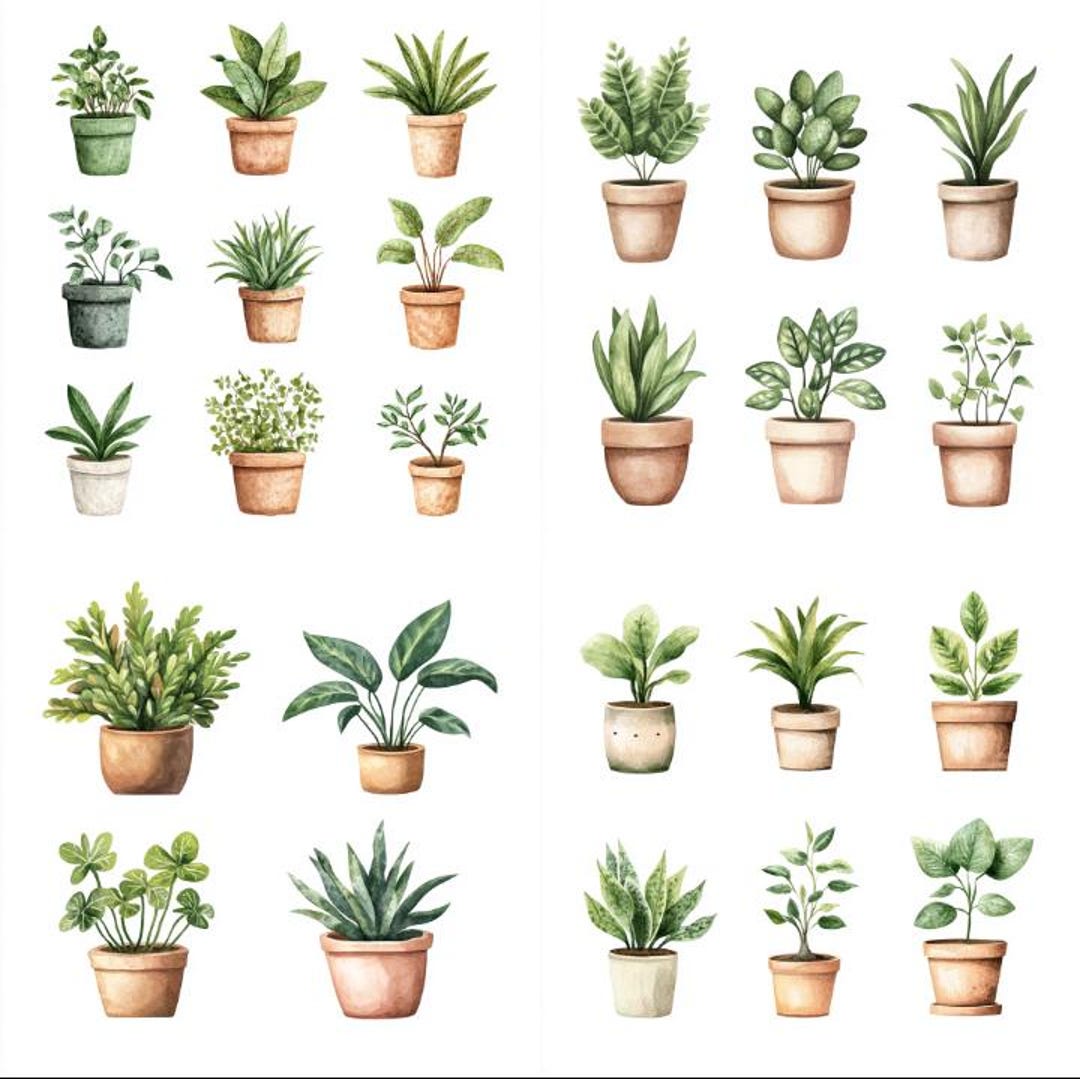 Watercolor Houseplants Clipart, House Plant, Indoor Plant, Potted ...
