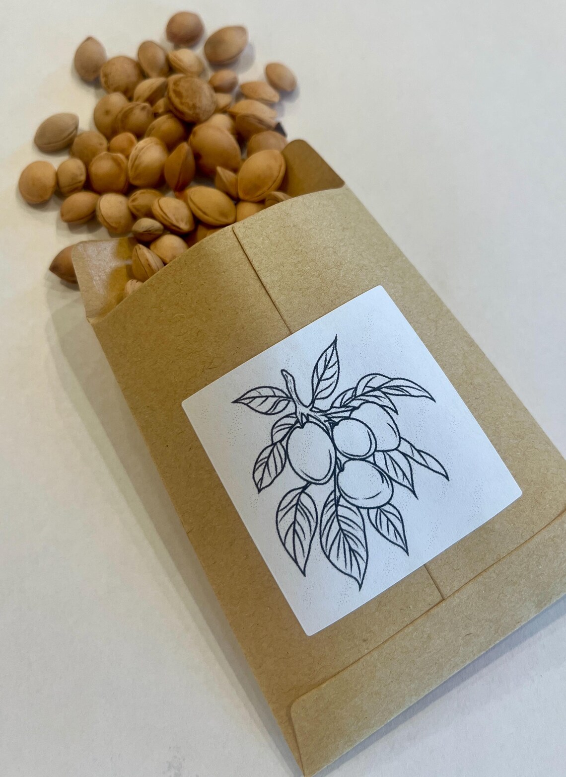 Common American Plum Tree Seeds (prunus Americana) - Etsy