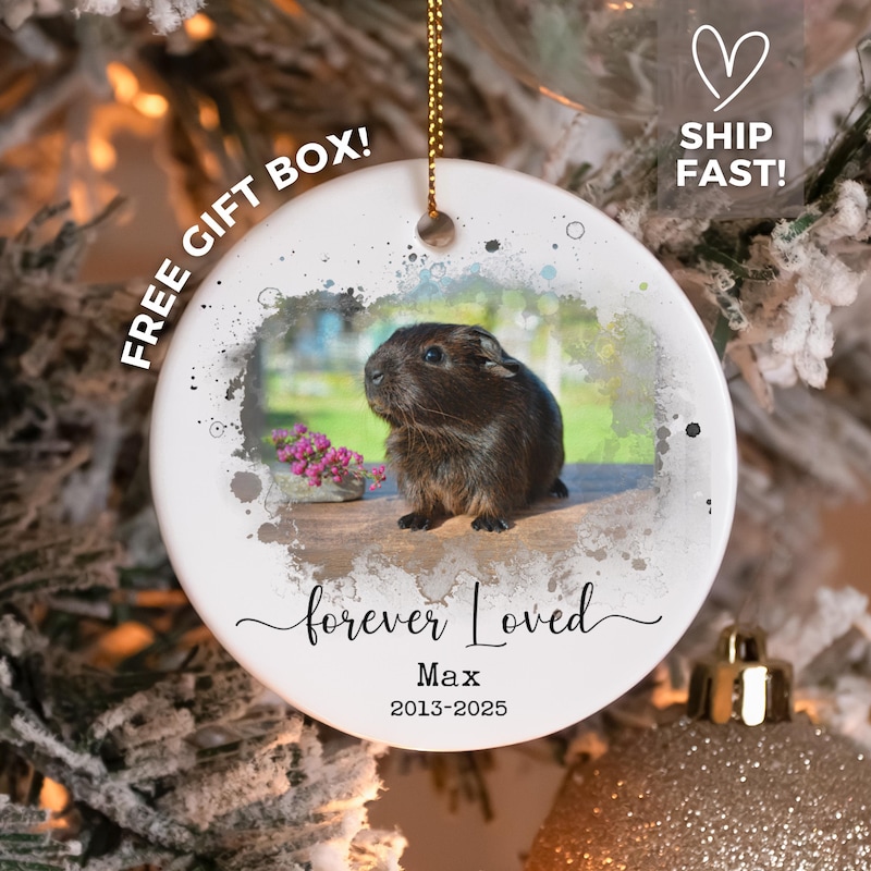 Guinea Pig Pet Bauble - Etsy