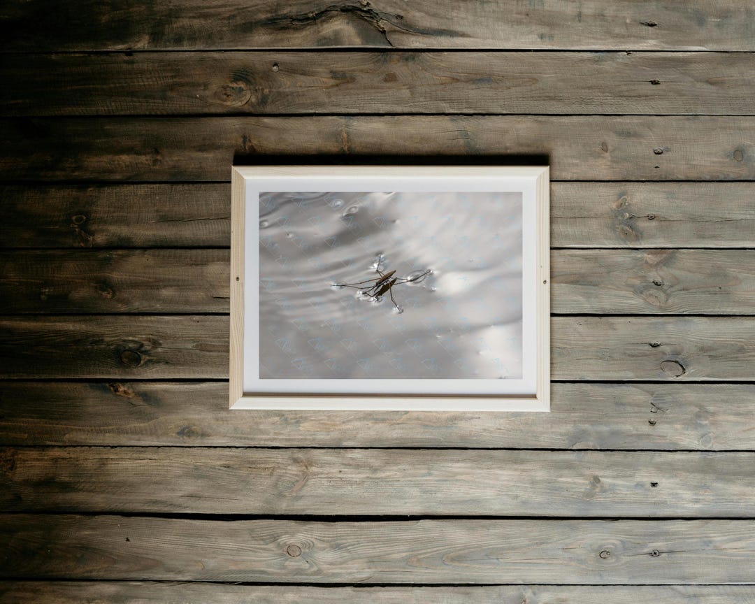 Waterbug, Bug Art, Green Art, Abstract Wall Art, Bug Wall Art, Abstract ...