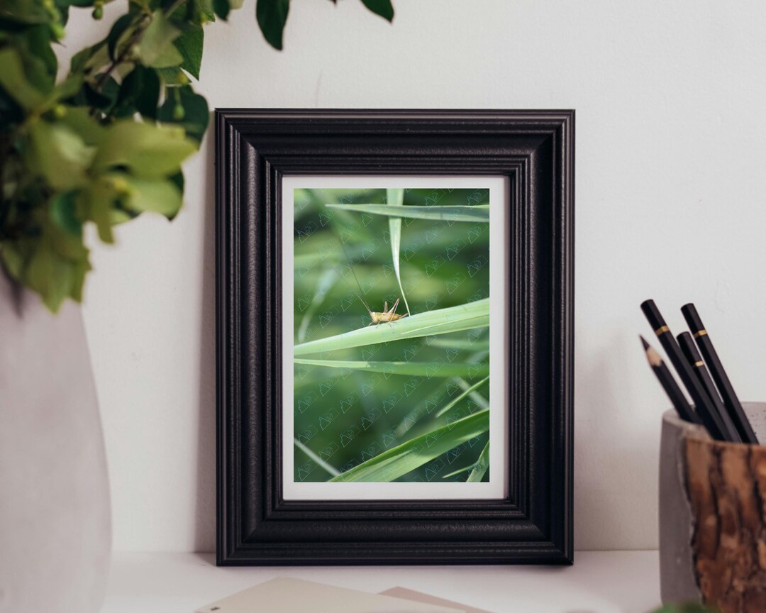 Grasshopper, Bug Art, Green Art, Abstract Wall Art, Bug Wall Art ...