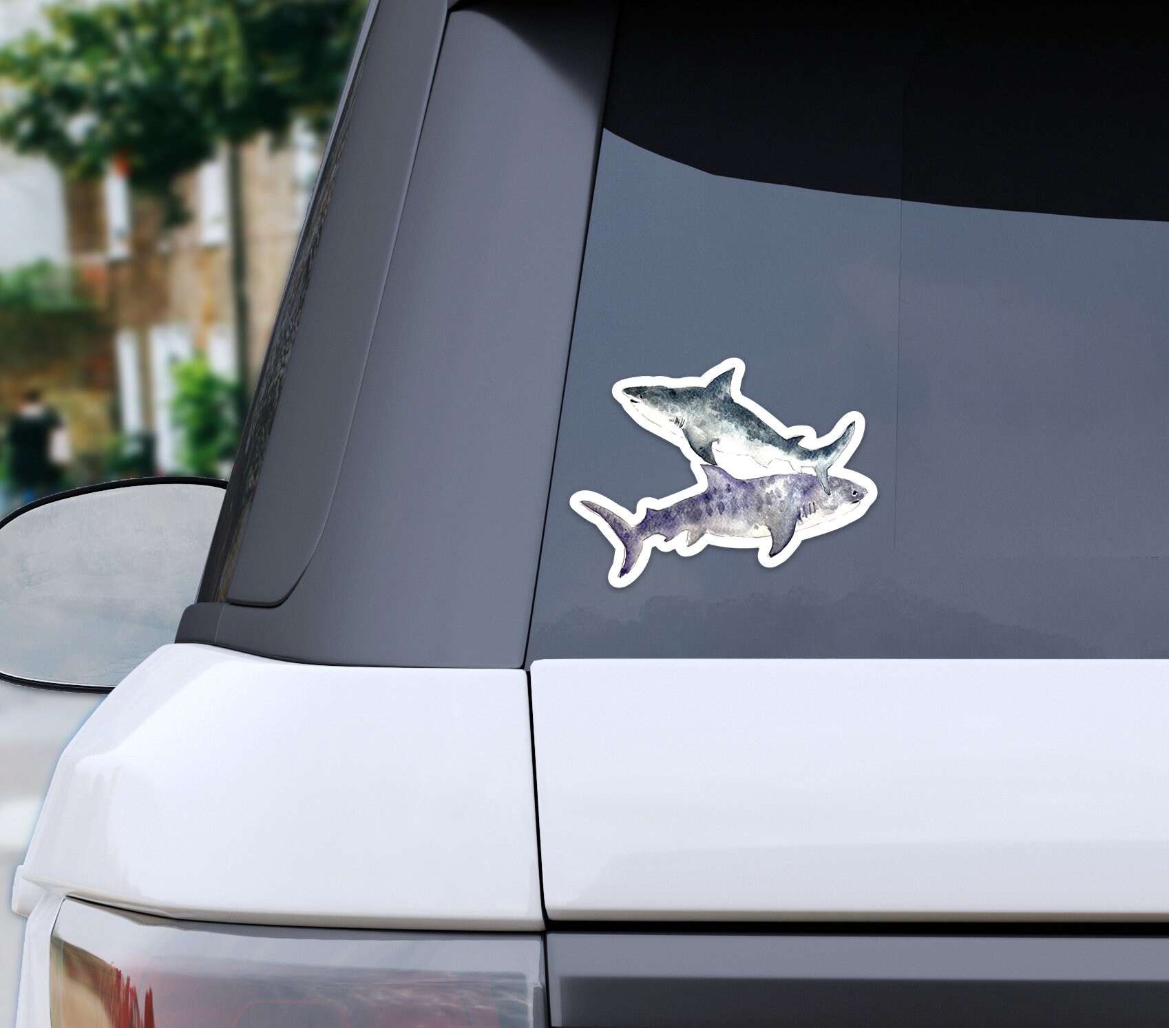Sharks Bumper Sticker, Car Window Decal - Etsy