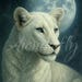 Majestic White Lion Moon Art Print | Fantasy Lioness Wall Decor ...