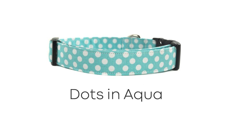Aqua and White Polka Dot Dog Collar - the Dots in Aqua - Etsy