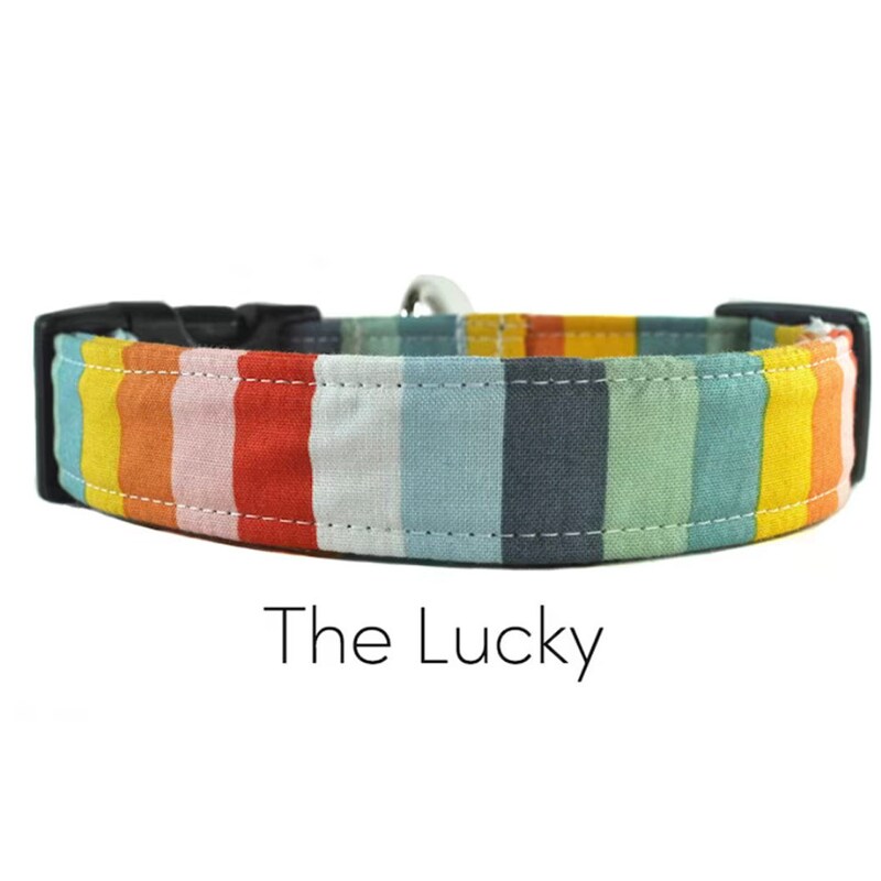Colorful Dog Collar - Etsy