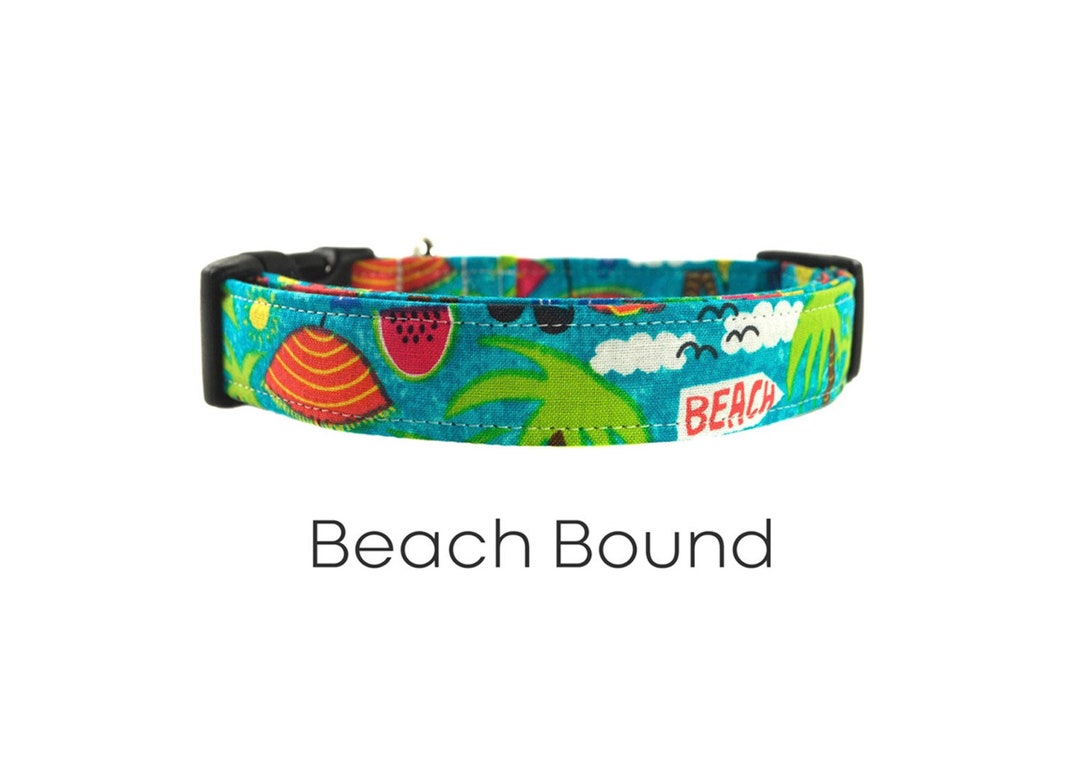 Beach Themed Dog Collar - the Beach Bound - Turquoise Dog Collar - Etsy