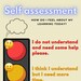 Traffic Light Self Assessment Poster - Etsy
