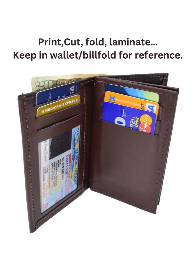 Immigration Rights Guide, Printable Reference Cards - Etsy