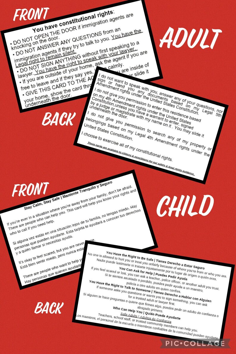 Immigration Rights Guide, Printable Reference Cards - Etsy