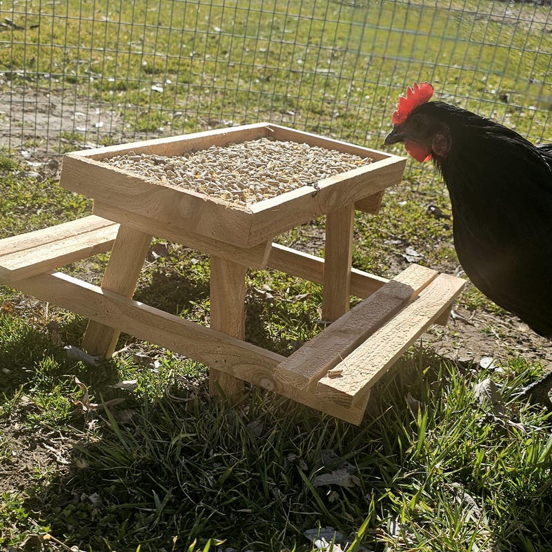 Chicknic Table - Etsy