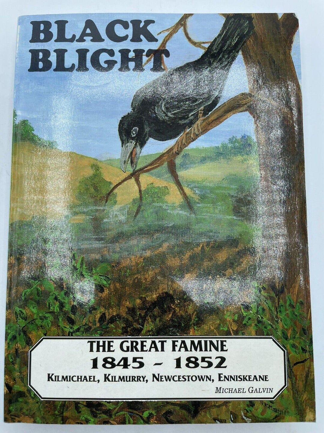 Black Blight the Great Famine 1845 1852 1995 Paperback Michael Galvin ...