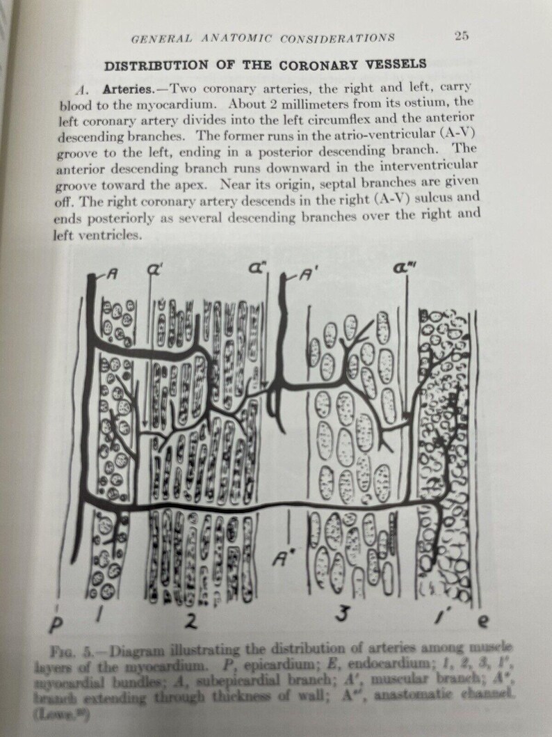 Coronary Circulation Signed 1950 Donald E. Gregg Hardcover Rare 227 ...