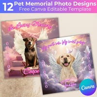 Pet Farewell Digital Backdrop for White Flowers Photo Background for ...
