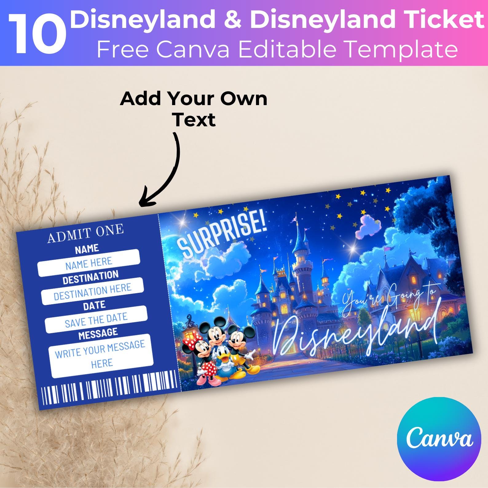 05 Editable Disneyland Ticket Canva Template, Surprise Reveal Editable ...
