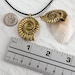 10%OFF Large Fossil Shell Pendant, Spiral Nautilus Bohemian Greek ...