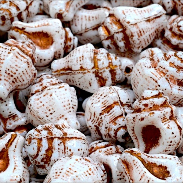 Sea Shells Beads - Etsy