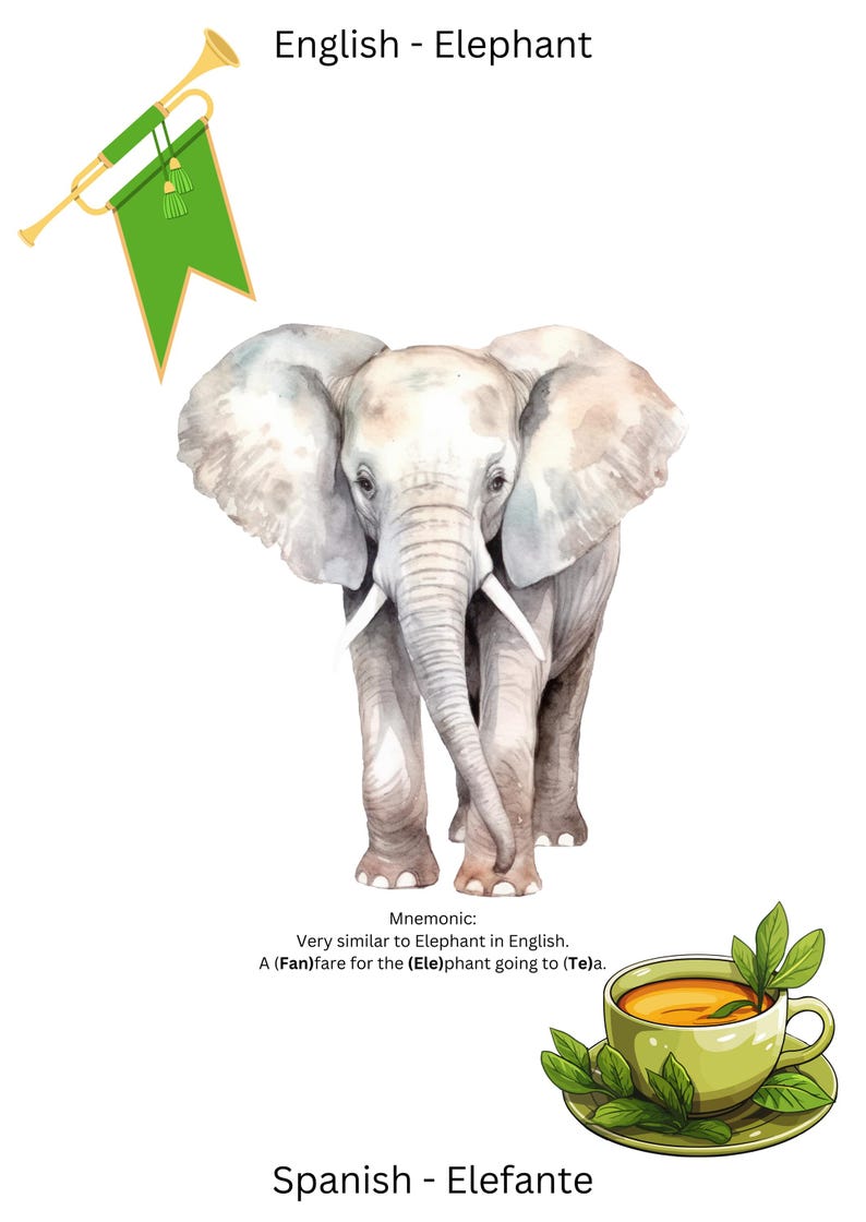Elephant, With Spanish Mnemonic for Elefante, Learning, Education ...