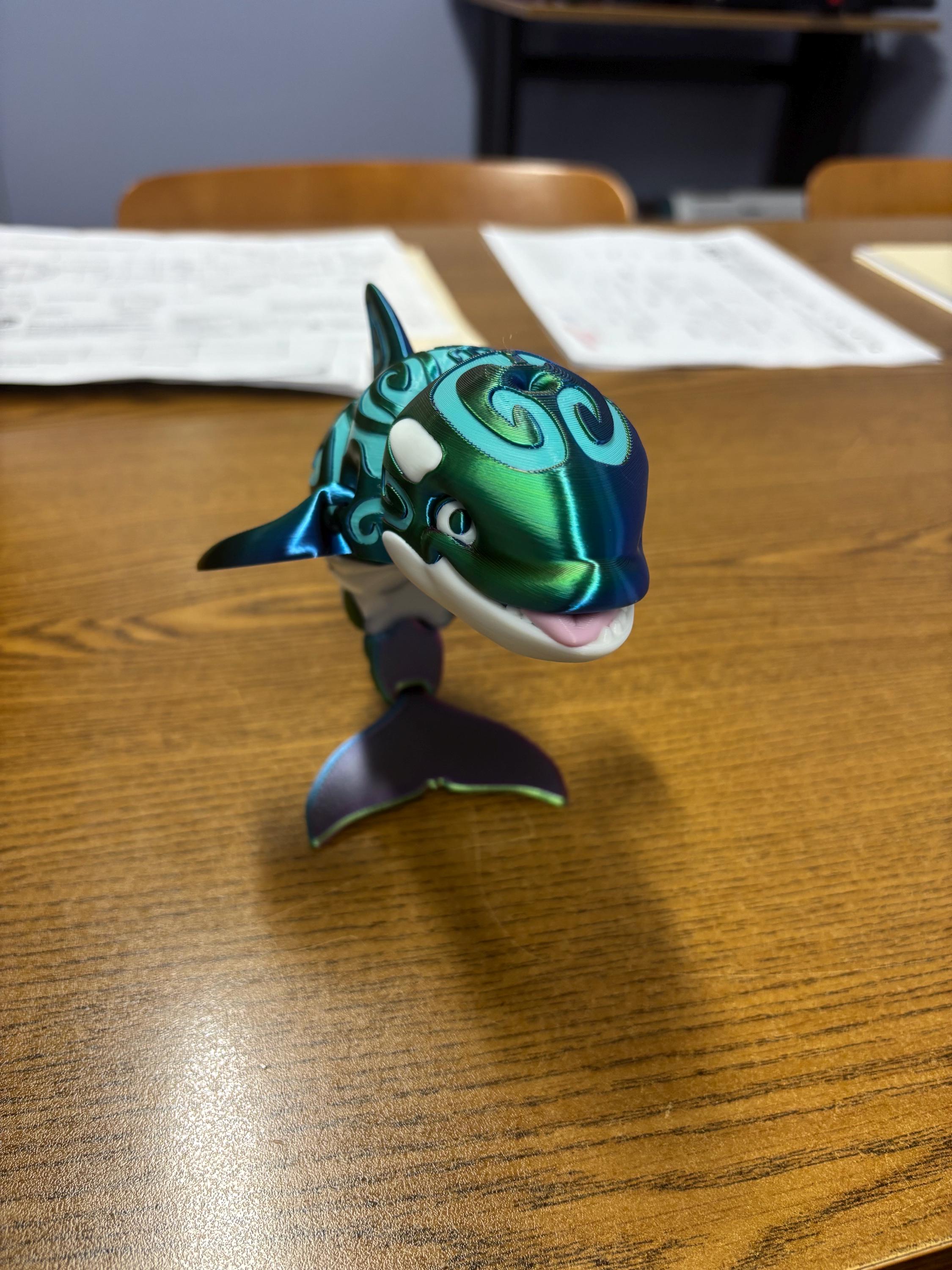 Flexi Factory Orca - Etsy