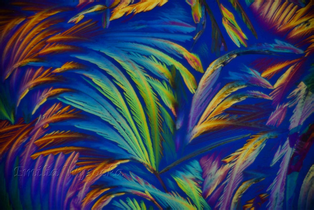 A Hand Fan, Warbonnet, Microworld, Chemical Abstract, Art Under ...