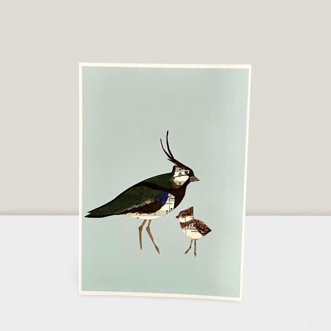 Lapwing With Chick Card, Greeting Card, Lapwing Card, Blank Card ...