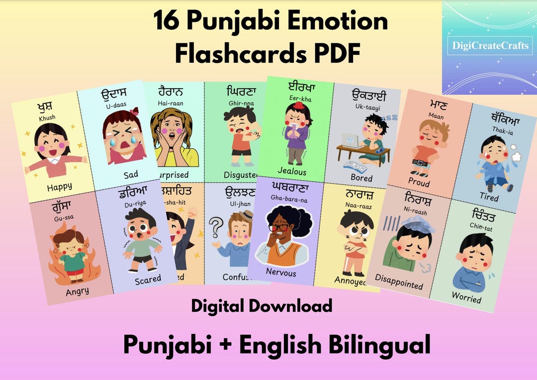 Punjabi Emotion Flashcards - Etsy