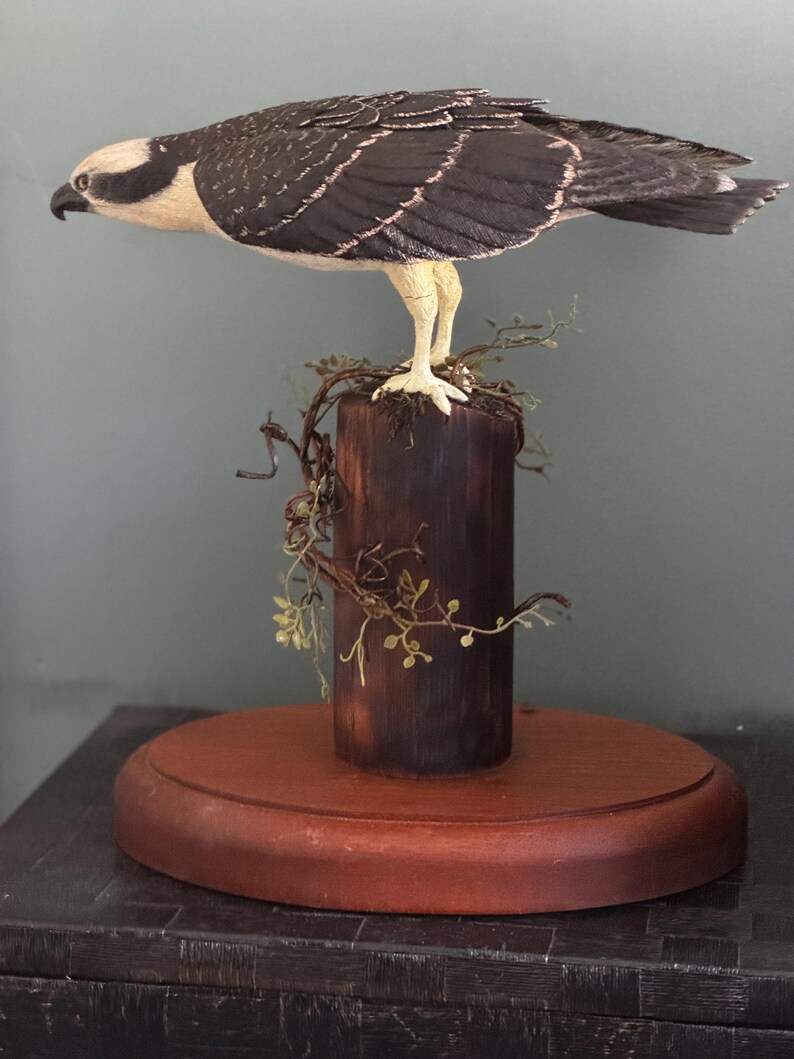 Handcarved Featherd Osprey - Etsy