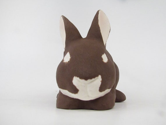 Brown Mini Rex Rabbits