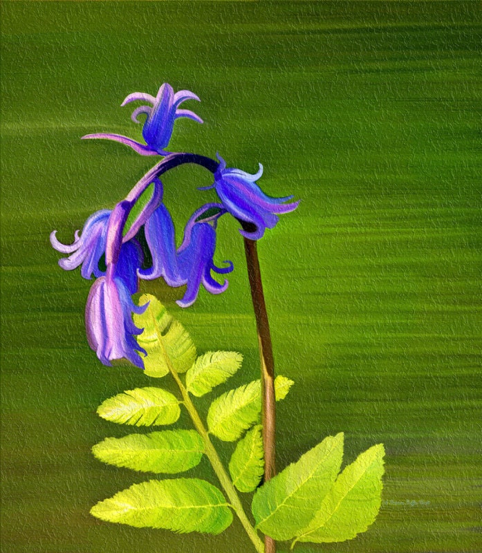 Blue Bells- Mixed Media Art, Fine Art Print, Wall Art, Home Decor, Fine ...