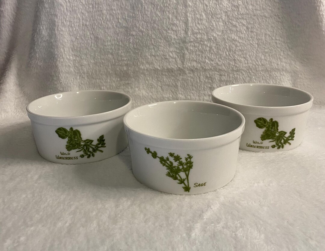 Set of 3 Herb Garden Taste Setter Japan Ramekin Baking Dishes 2” X 4 ...