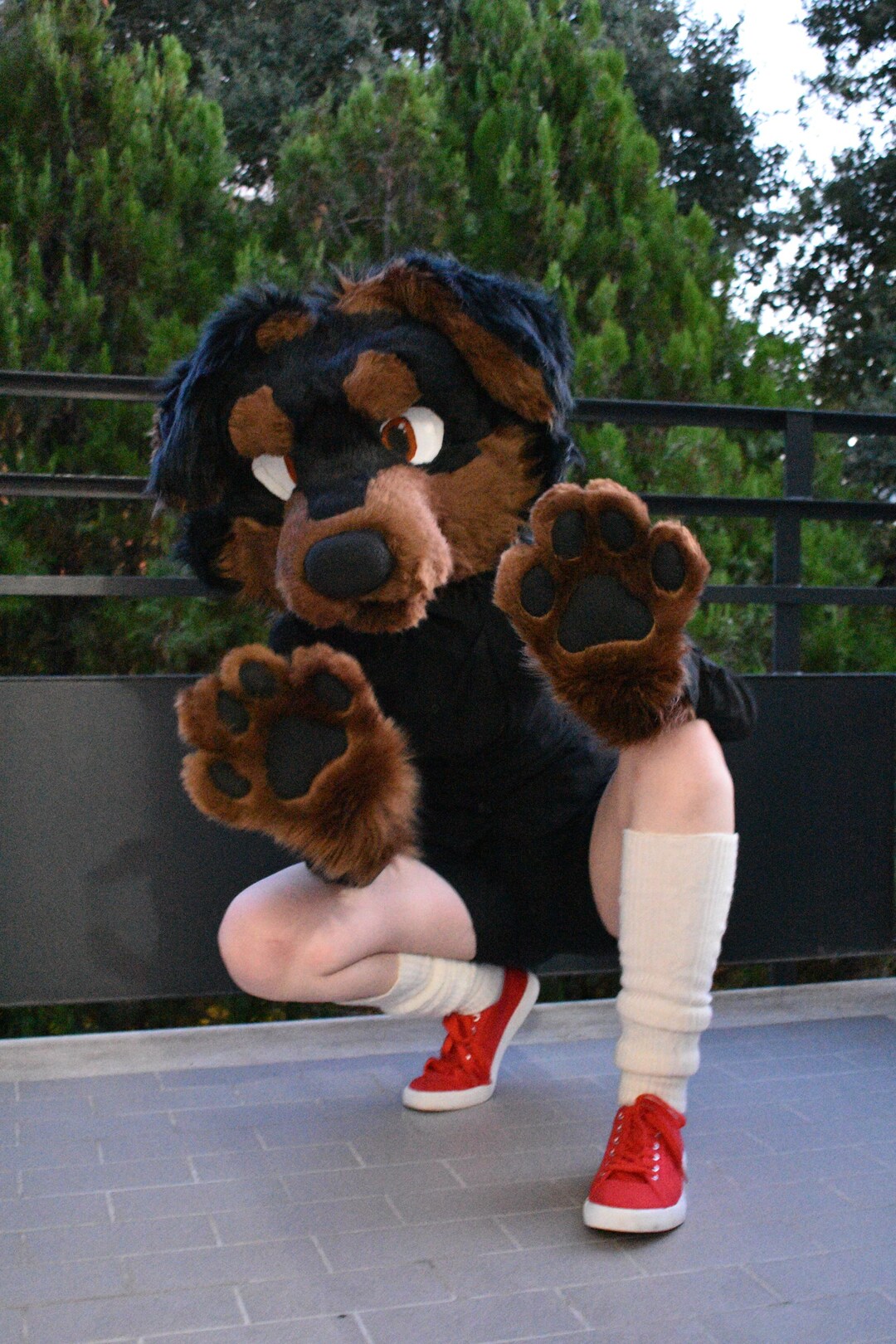 HQ Beauceron Dog Mini Partial Fursuit Premade - Etsy