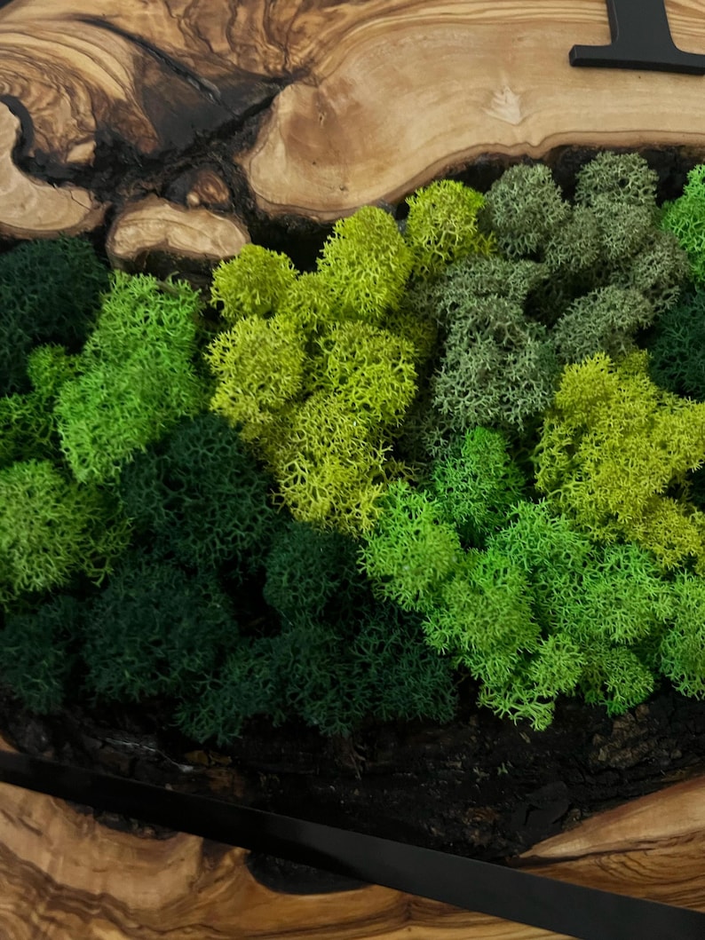 Reindeer Moss Wall Clock: Olive Wood & Black Metal Frame - Etsy