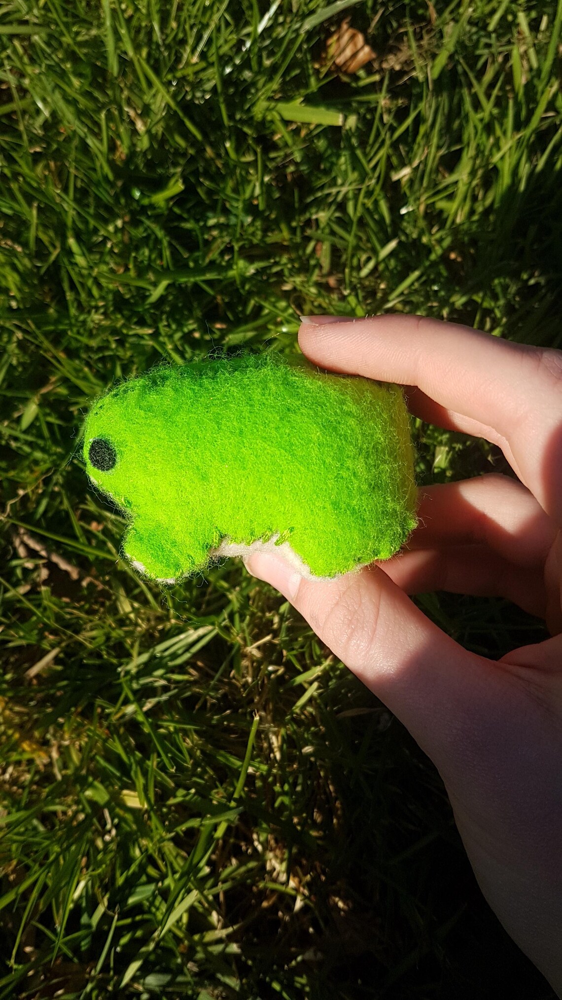 Handsewn Small Felt Frog Plushie Teddy - Etsy