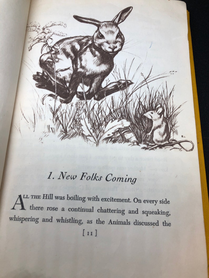 Vintage School Reader Book Rabbit Hill by Robert Lawson - Etsy