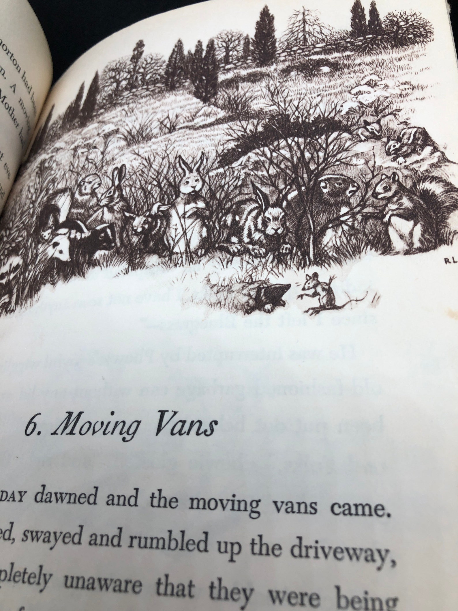 Vintage School Reader Book Rabbit Hill by Robert Lawson - Etsy