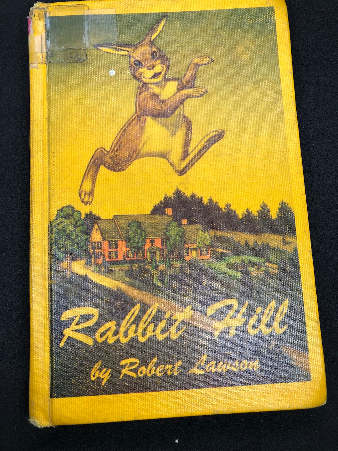 Vintage School Reader Book Rabbit Hill by Robert Lawson - Etsy