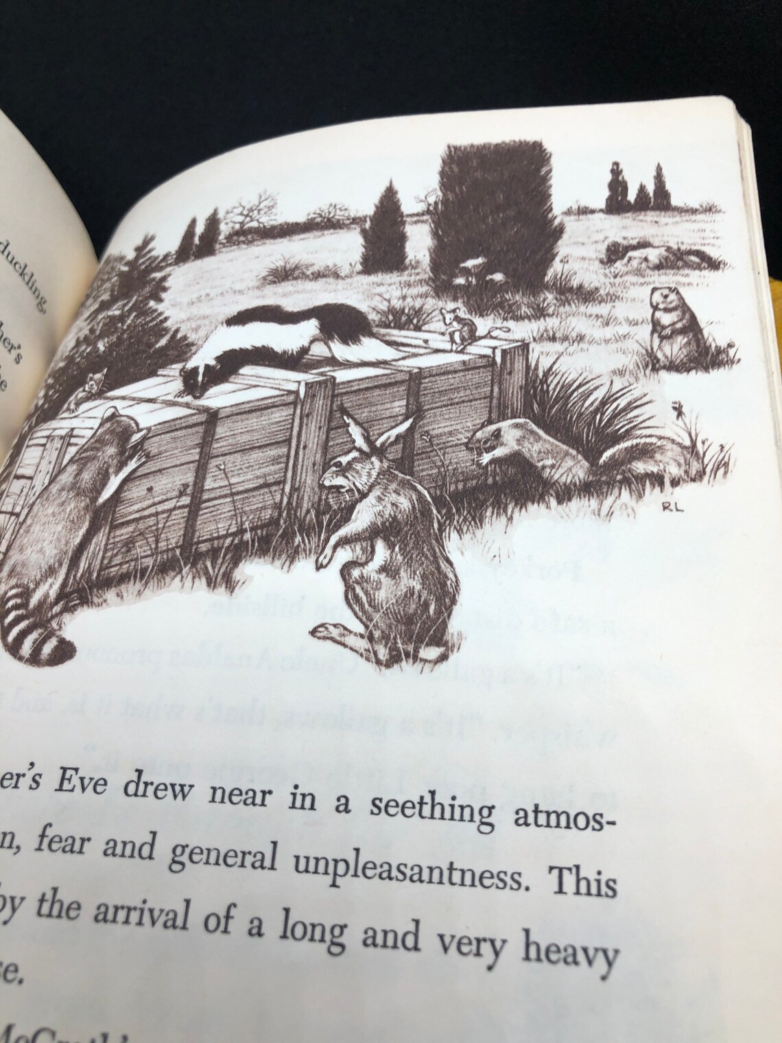 Vintage School Reader Book Rabbit Hill by Robert Lawson - Etsy