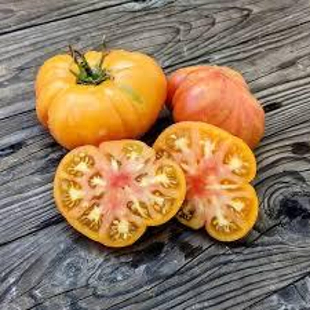 Natures Riddle Tomato - Etsy