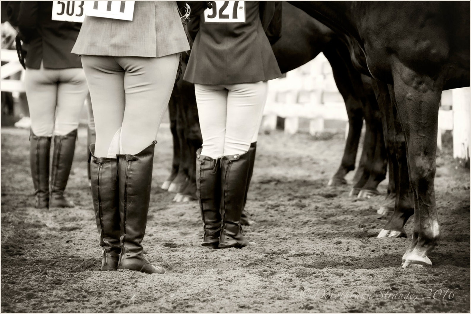 Equestrian, Horse Competition, Art Photography, Dressage, English ...
