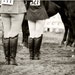 Equestrian, Horse Competition, Art Photography, Dressage, English ...