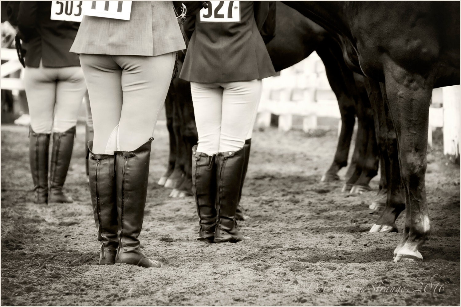 Equestrian, Horse Competition, Art Photography, Dressage, English ...
