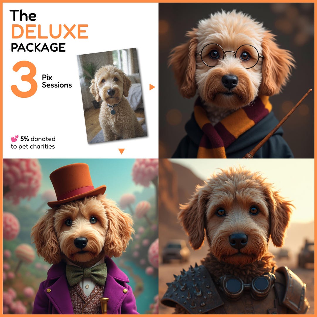 3 Deluxe Pet Portraits | Professional Dog Cat Photography | Dog Cat ...