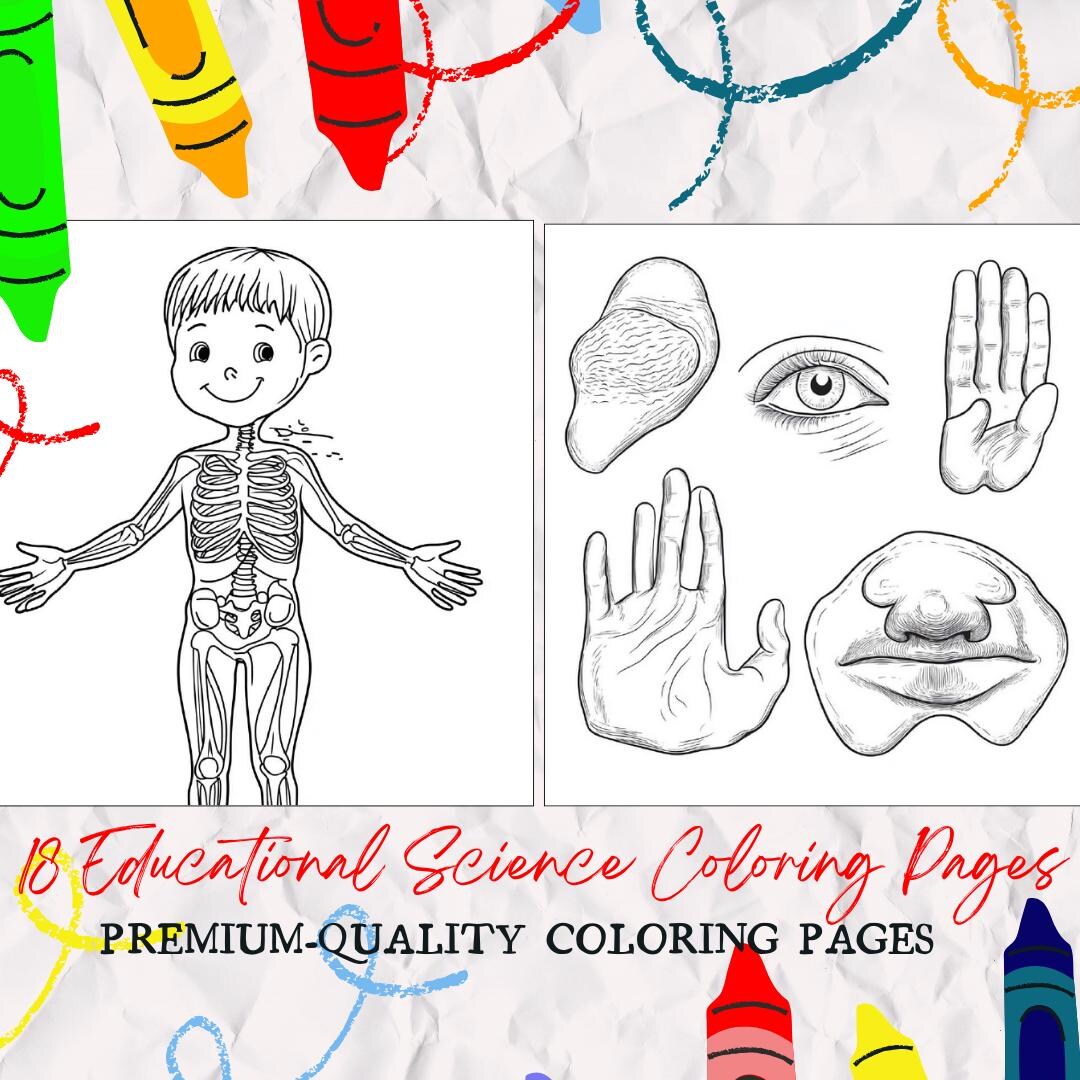 Educational Science Coloring Pages | Human Body Systems and Organs ...