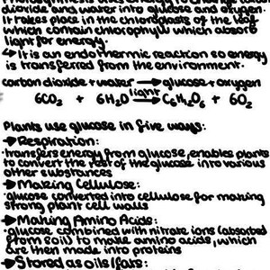 Biology AQA GCSE Topic 4 Revision Notes/mindmap: Bioenergetics GRADE 9 ...