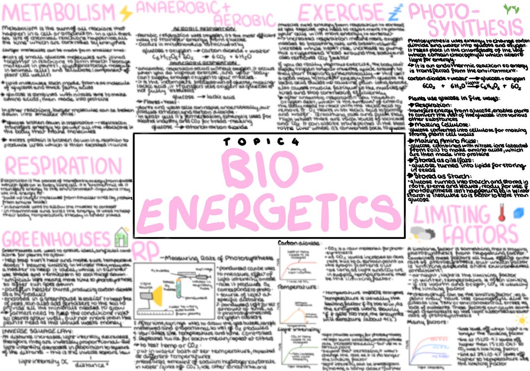 Biology AQA GCSE Topic 4 Revision Notes/mindmap: Bioenergetics GRADE 9 ...