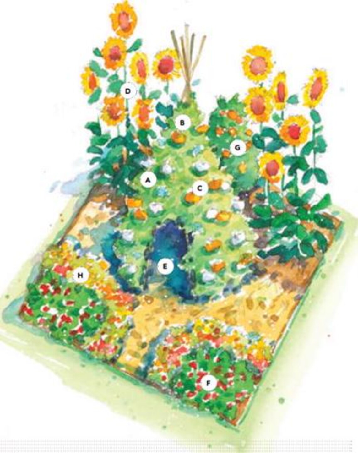 Kid's Tepee Garden Plan - Etsy