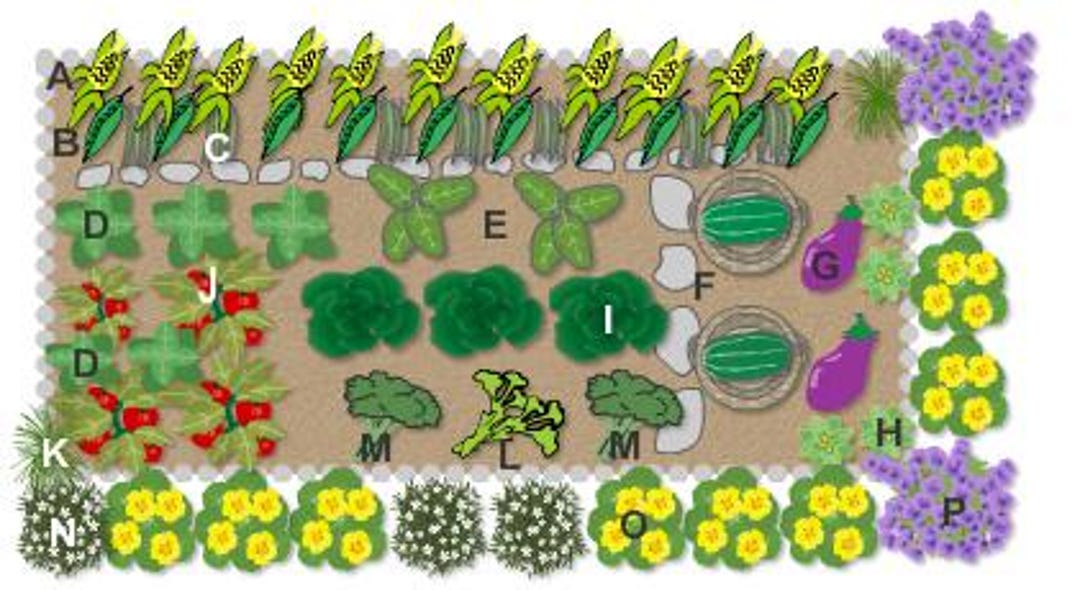 Small Veggie Garden Plan - Etsy