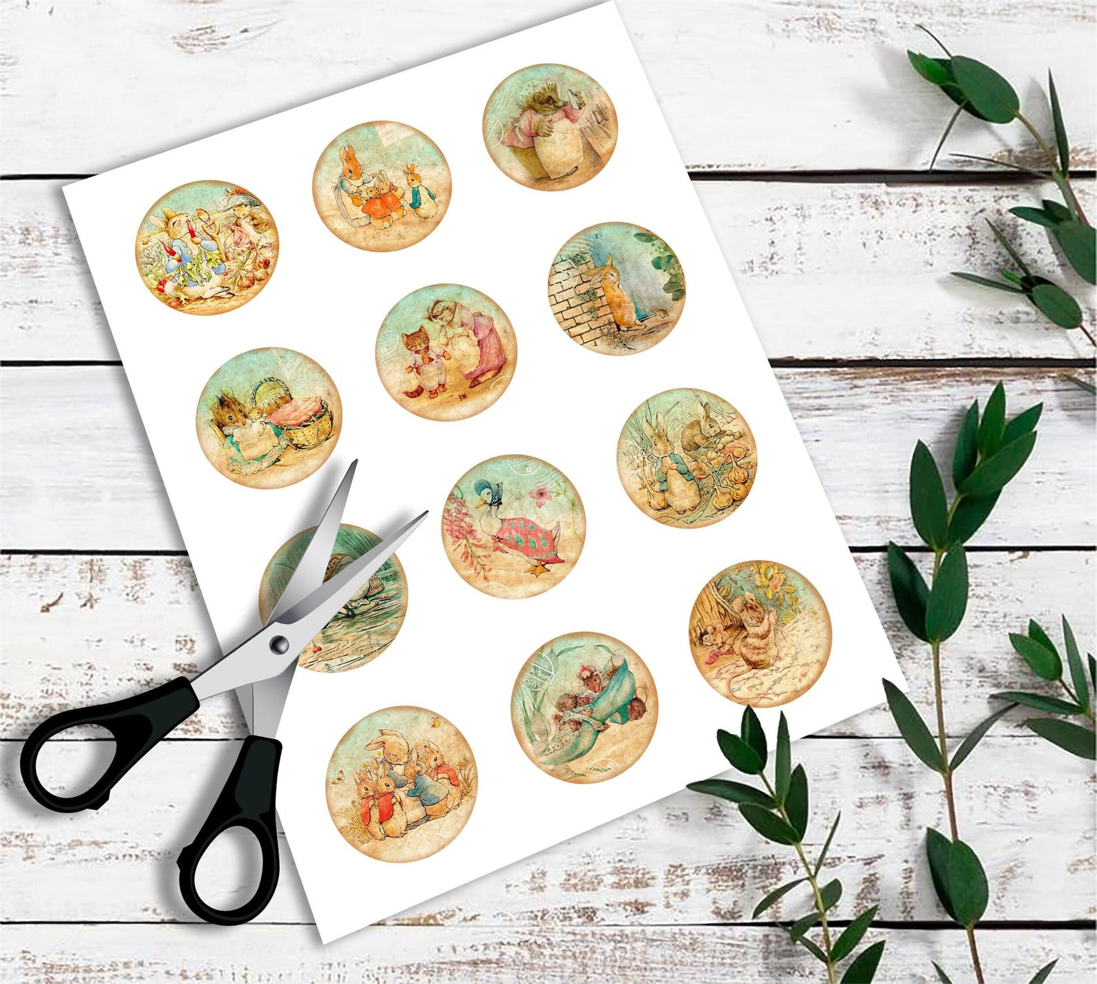 Peter Rabbit Cupcake Toppers Printable: Beatrix Potter Party Circles ...