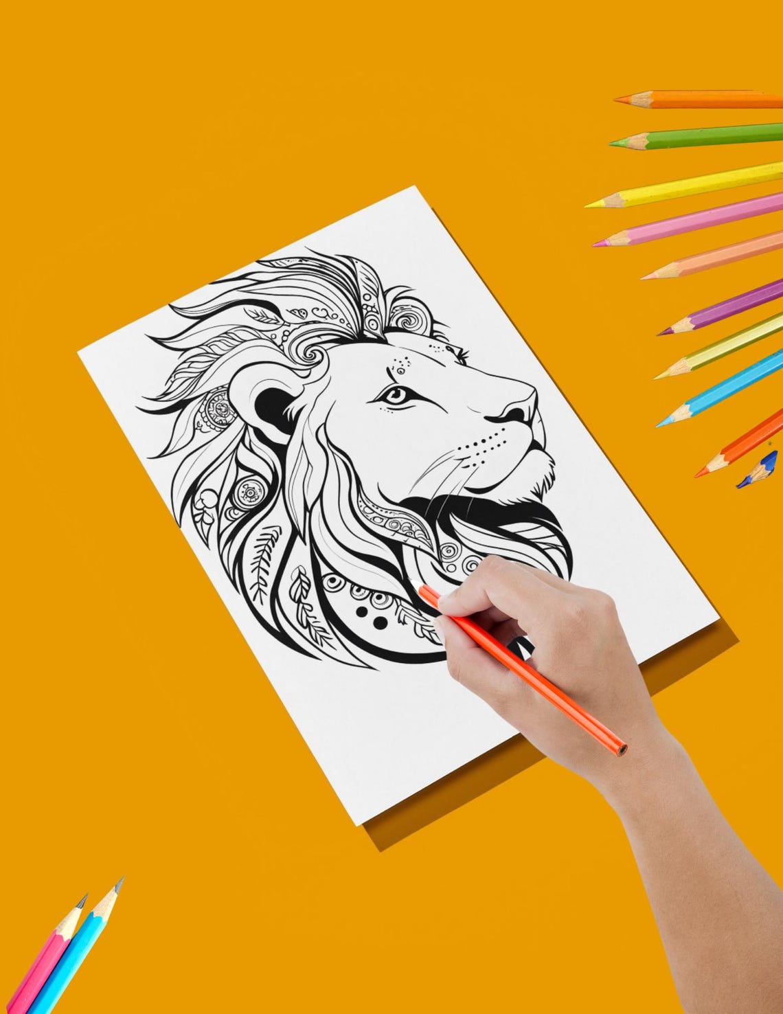 Regal Lion Colouring Page – Printable Art – Digital Download - Etsy