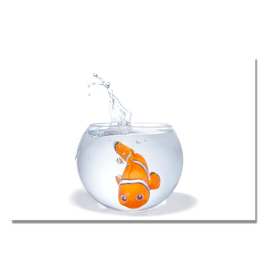 Fish in a Bowl Splash Photography Print | Children's Wall Art | Finding ...